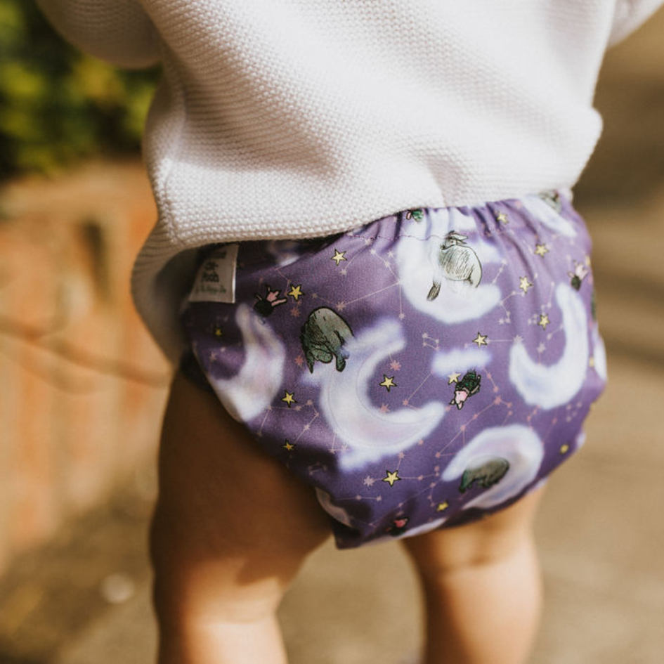 The Nappy Den - Winnie-The-Pooh - Pocket Nappy - Onesize