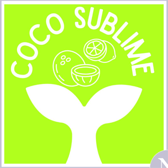 Cocos Logo CoCo2022: A New CoCo Project (that May Not Be Coming)